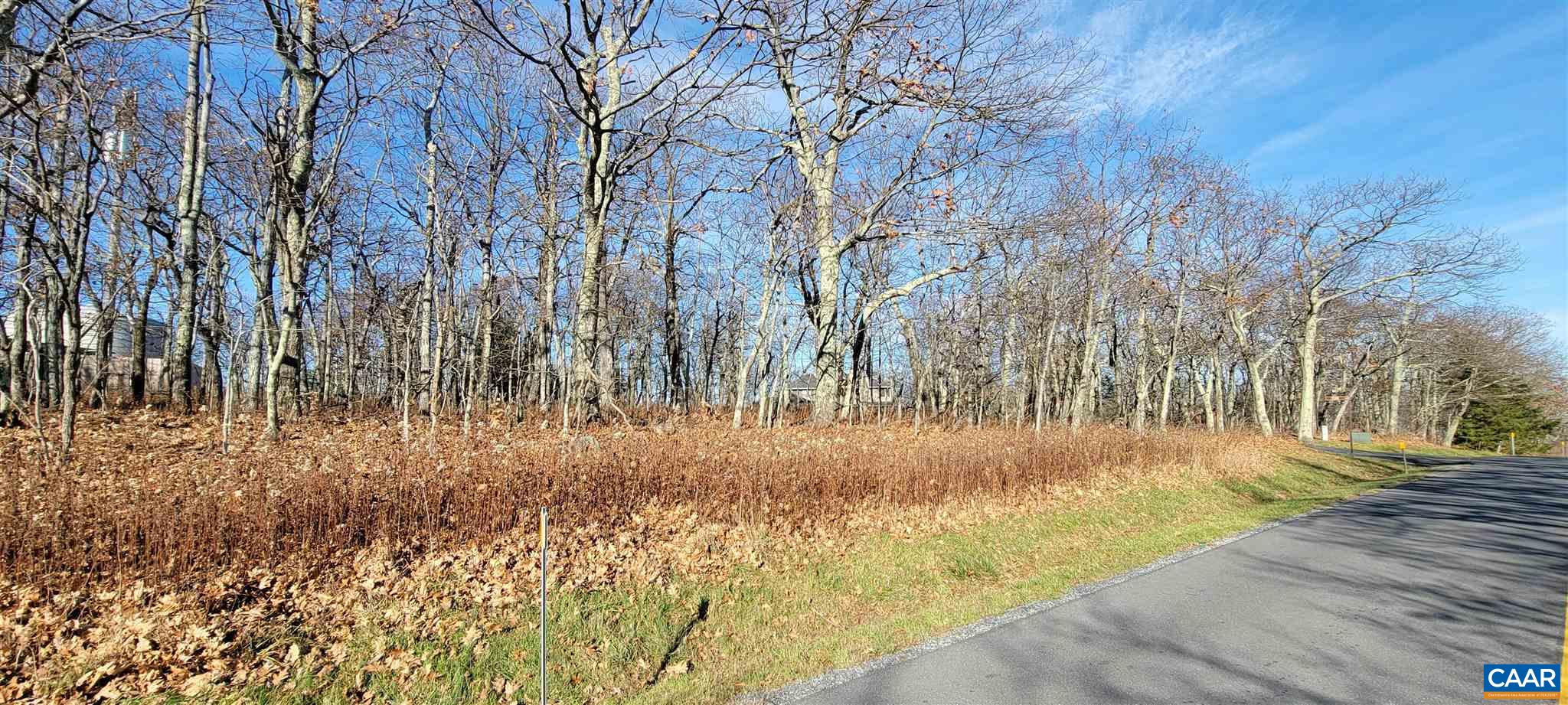 805 Devils Knob Loop, Wintergreen Resort, Virginia, 22967 | Real Estate ...