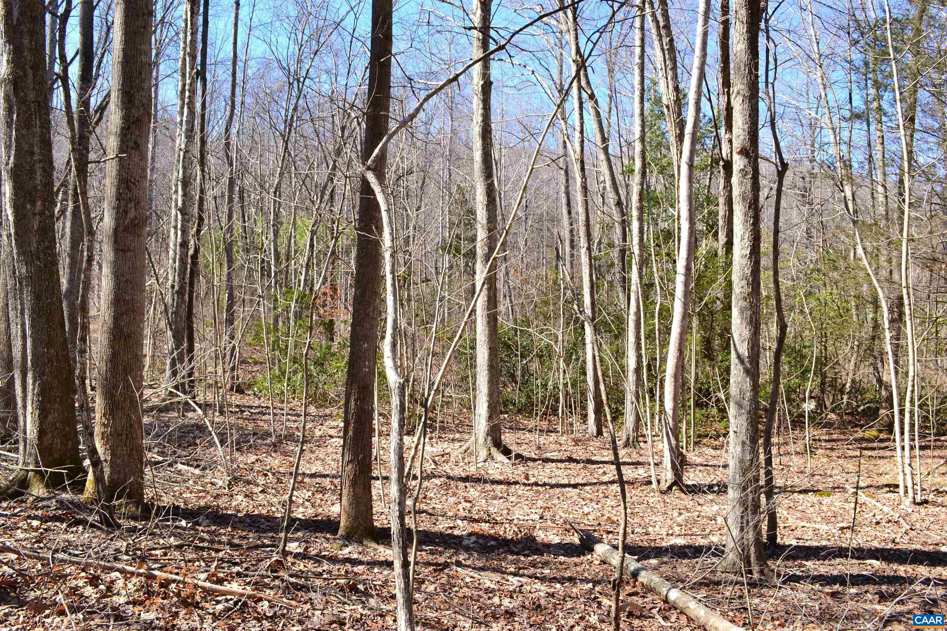 TBD Willoughby Ln, Shipman, Virginia, 22971 | Real Estate PlusReal ...