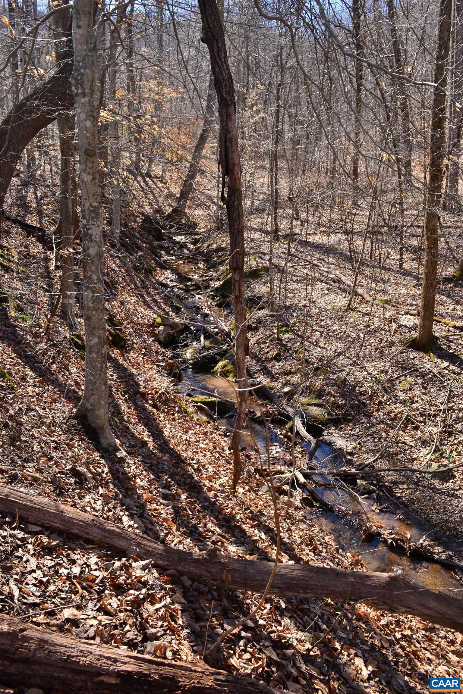 TBD Willoughby Ln, Shipman, Virginia, 22971 | Real Estate PlusReal ...