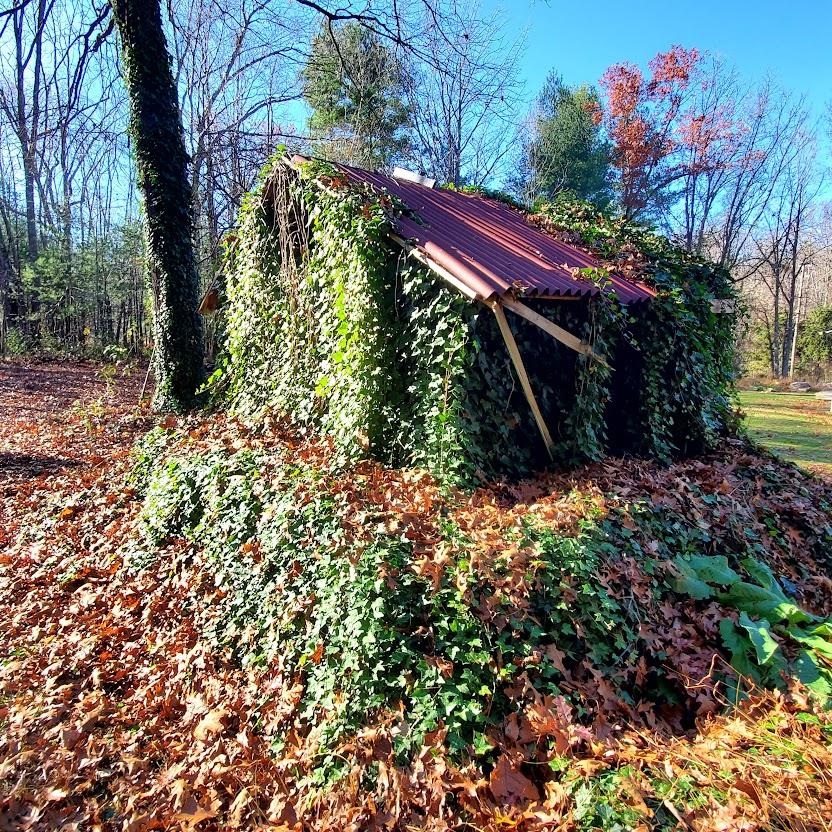 3978 Cold Springs Rd #3.485 acres, Raphine, Virginia, 24472 | Real ...