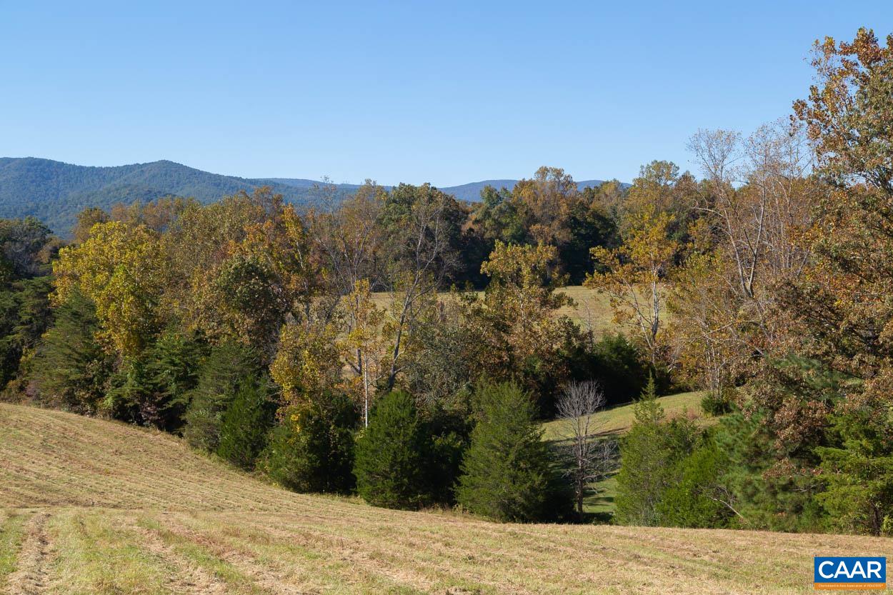 5080 Catterton Rd, Free Union, Virginia, 22940 | Real Estate PlusReal ...