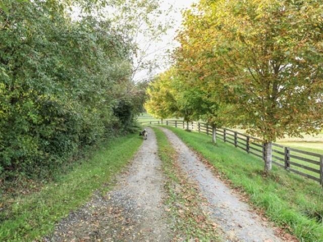 7192 Doe Hill Rd, Mcdowell, Virginia, 24458 | Real Estate PlusReal ...